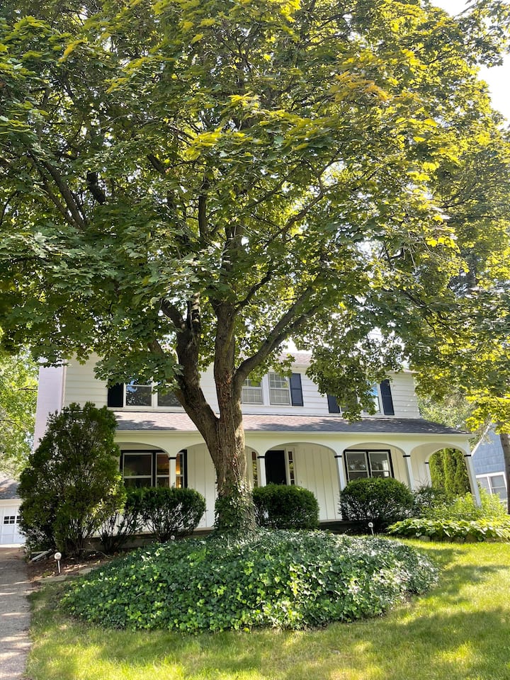Duplex In The Heart Of Ann Arbor - Ann Arbor, MI