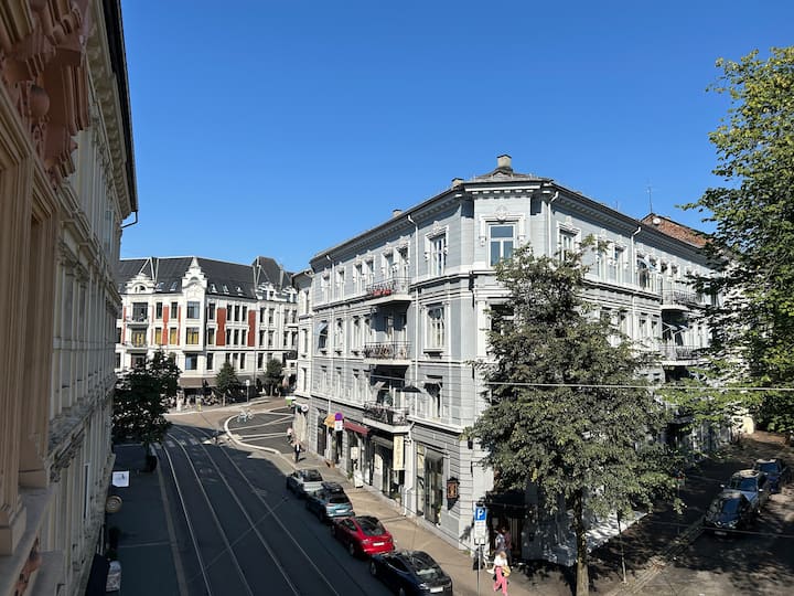 Bo Rett Ved Slottet Og Alt Oslo Har å By På! - Oslo