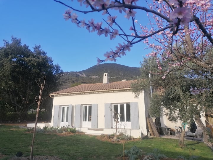 Studette Colorado Provençal - Rustrel