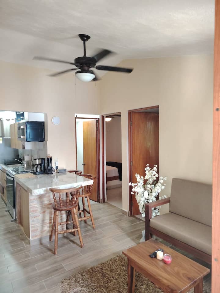 Departamento 755 - Zihuatanejo