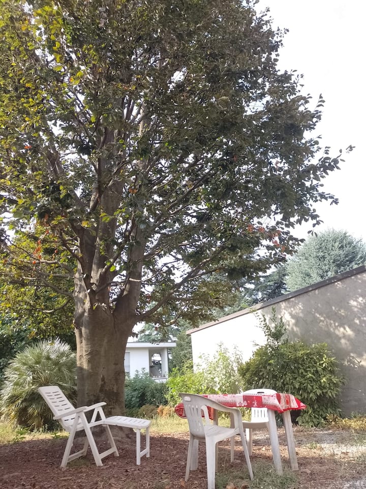 Casa Los Mandellos - Monza