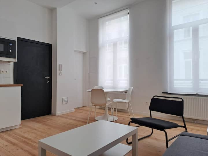 Appartement Lumineux à Ixelles - Ixelles