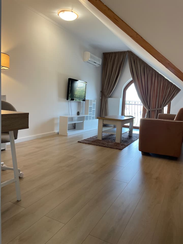 Apartment In The Villa Northern Dreams #3 +Parking - Timișoara