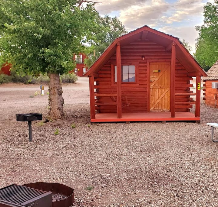 Lodgepole Pine Cc08 - Cortez, CO