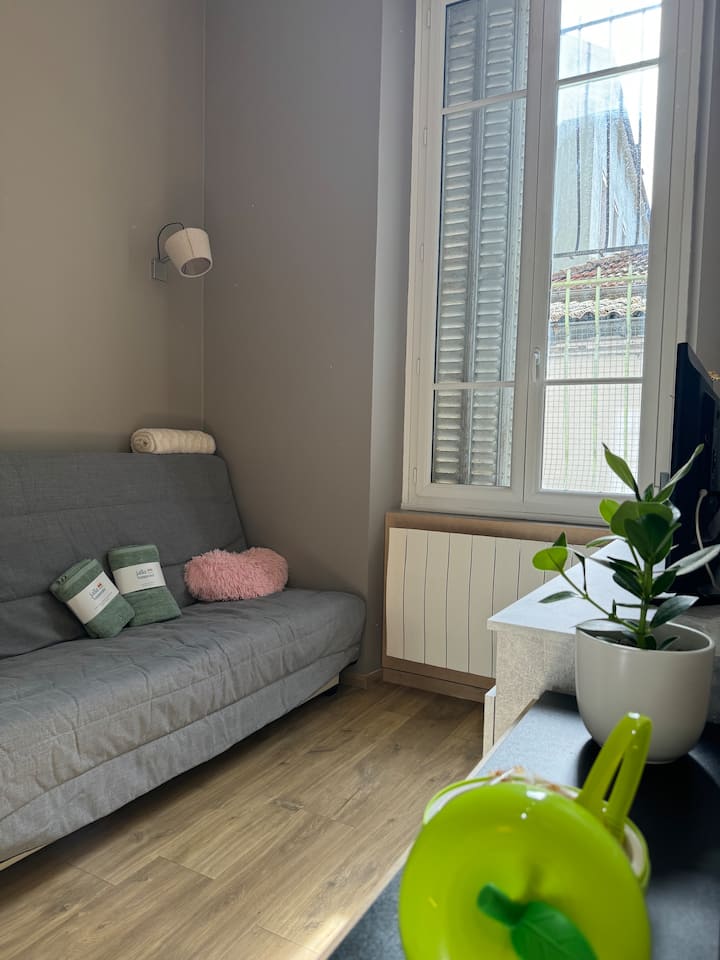 Studio Neuf Au Cœur De Grenoble - Grenoble
