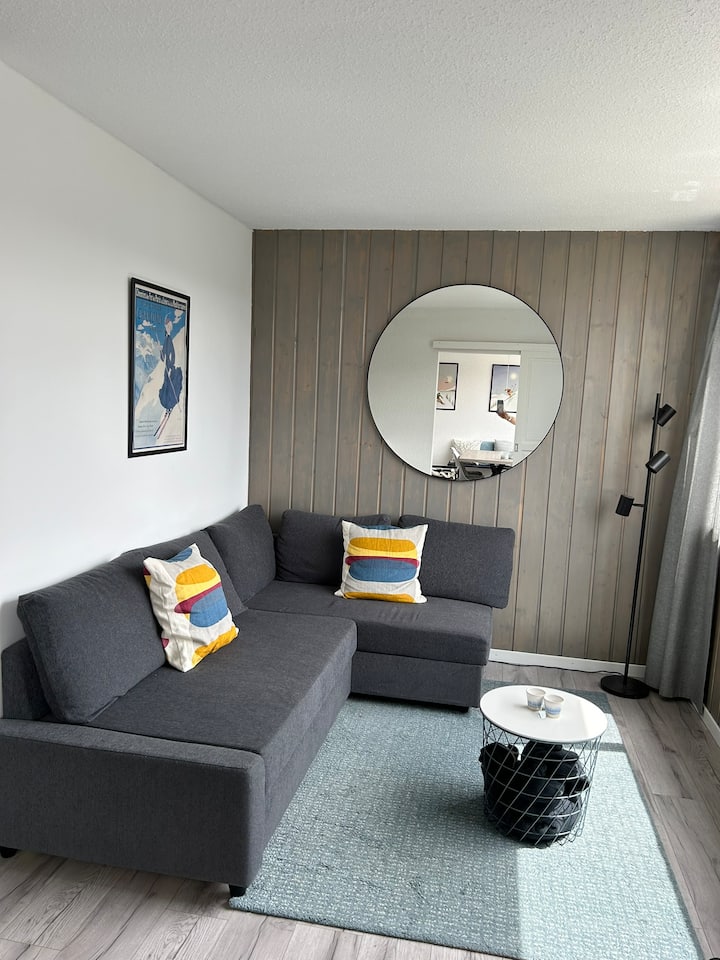 Mountain View Ski Apartment - Samoëns