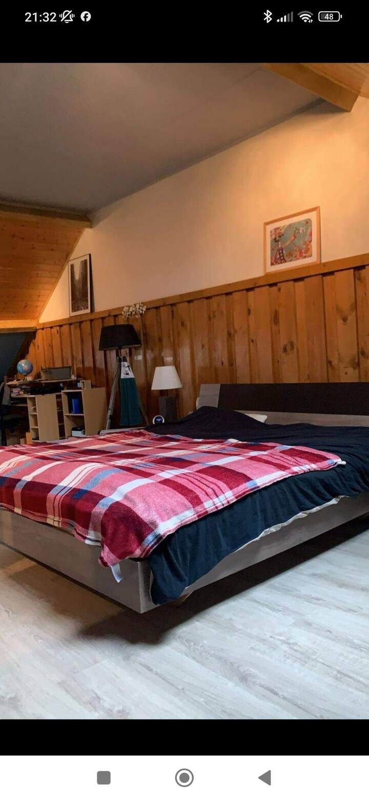 Une Chambre Mansardée Au Vert - Tienen