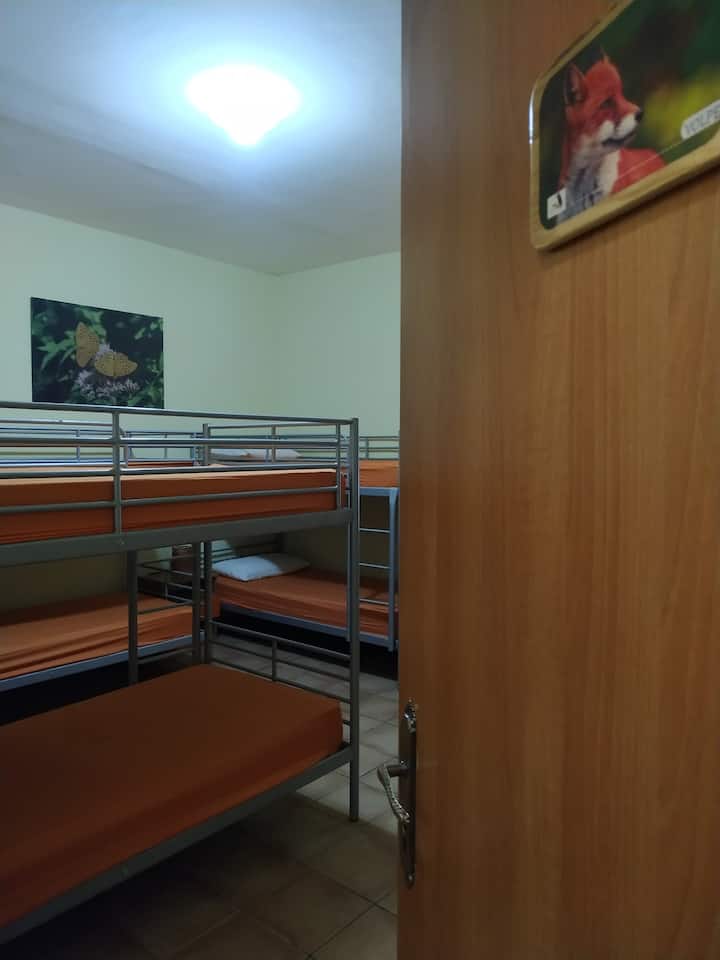 Rifugio Lo Schioppo, A Pochi Metri Dalla Cascata - Filettino