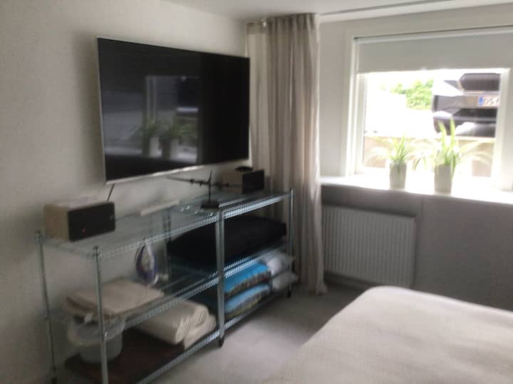 Lyst Kælderværelse På Ca 20 M2. - Odense
