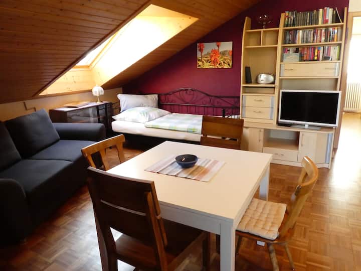 Gemütliche Ferienwohnung - Bad Boll