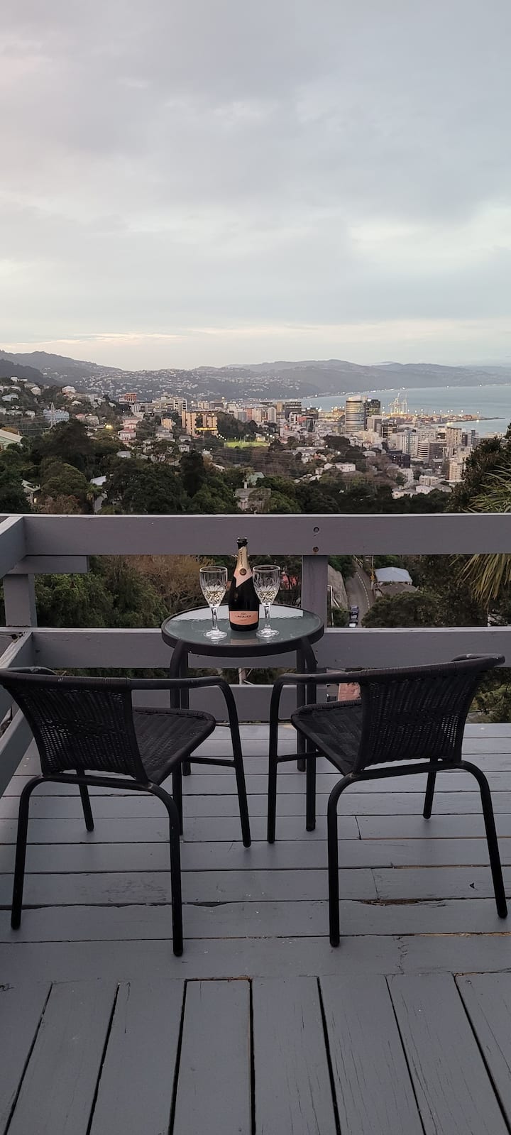 Tui Lookout - Wellington, New Zealand