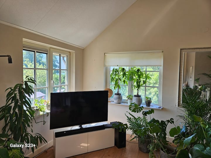 Woning Weerribben Giethoorn - Giethoorn