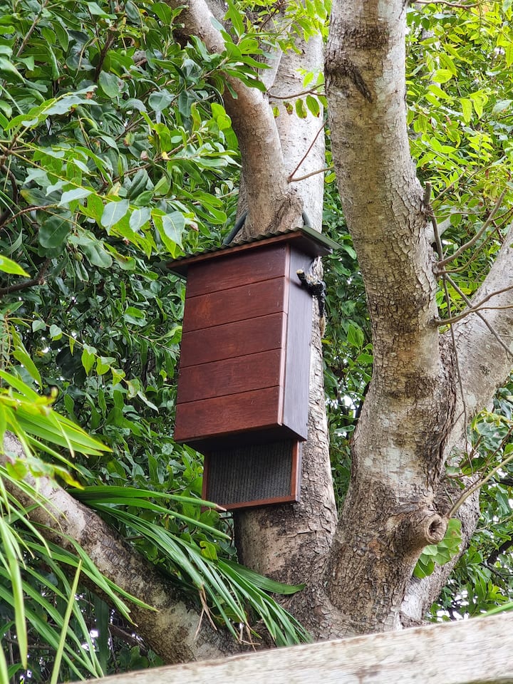 Glamping + Huge Backyard In Town - Coffs Harbour