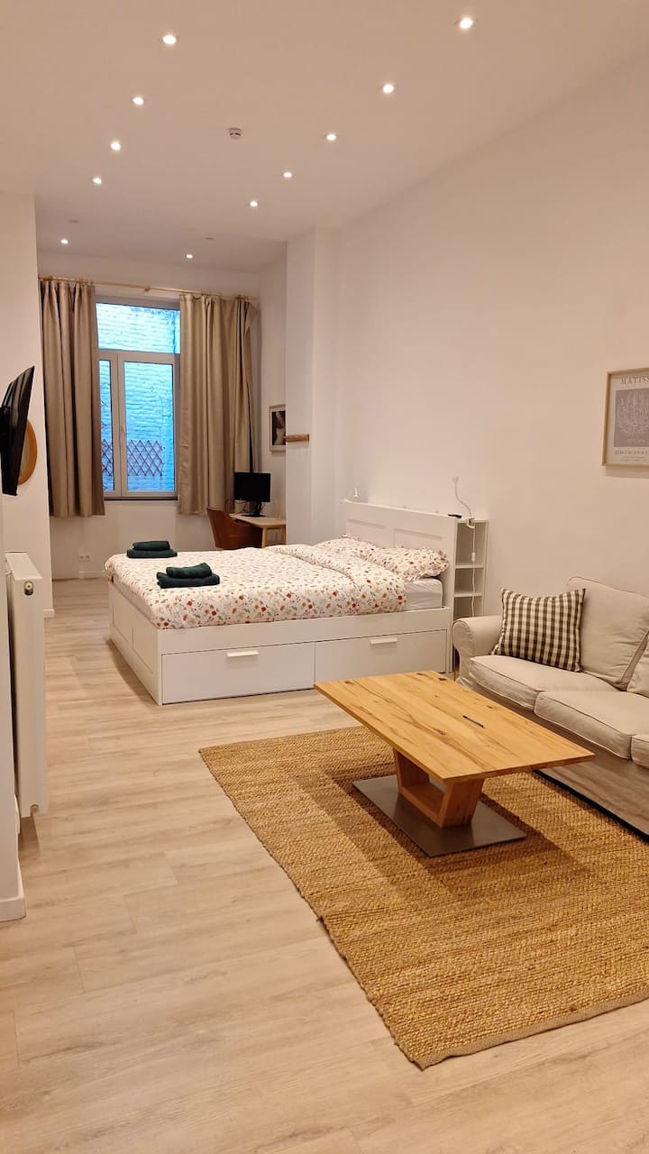 Spacious Studio With King Bed - Bruxelles