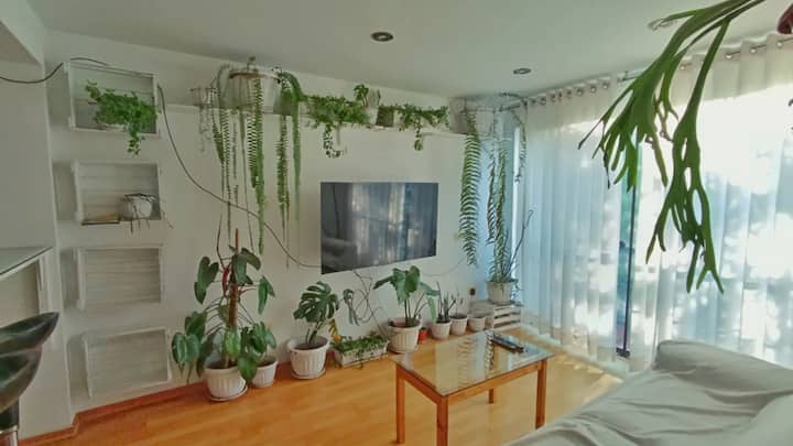 Cozy And Full Of Plants - Arequipa