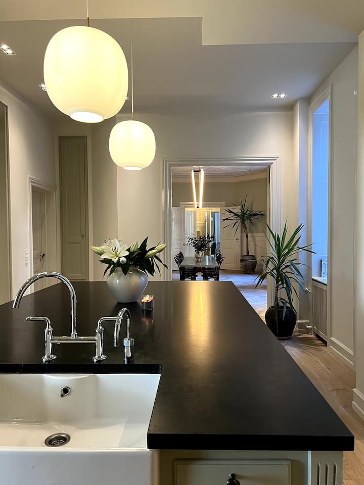 Central Manor Apartment - Copenhagen