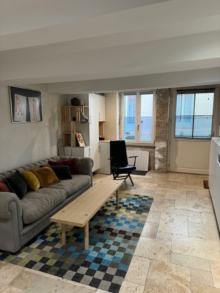 Appartement Chaleureux, Lyon 5 - Lyon