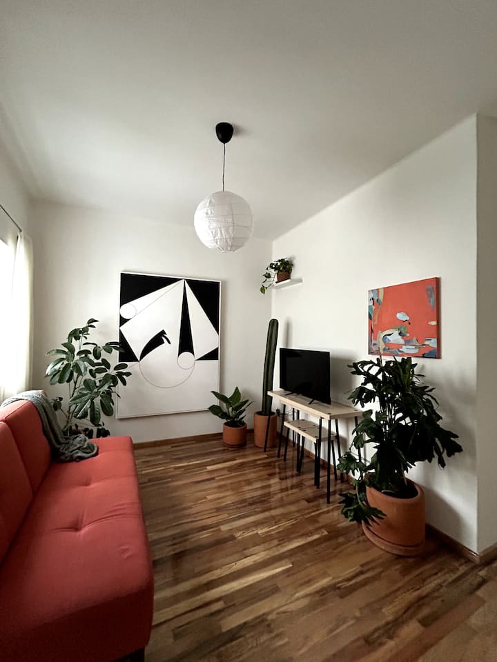 Cozy Apartment, Great Location - Mexico City