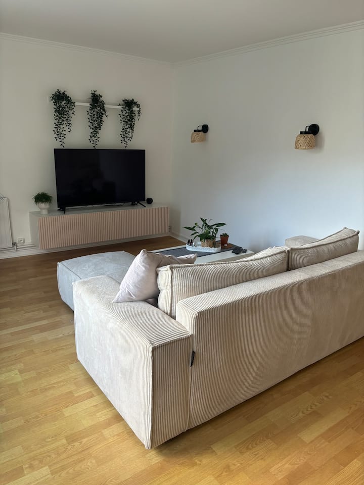 Appartement T3 Spacieux Et Lumineux - Nantes