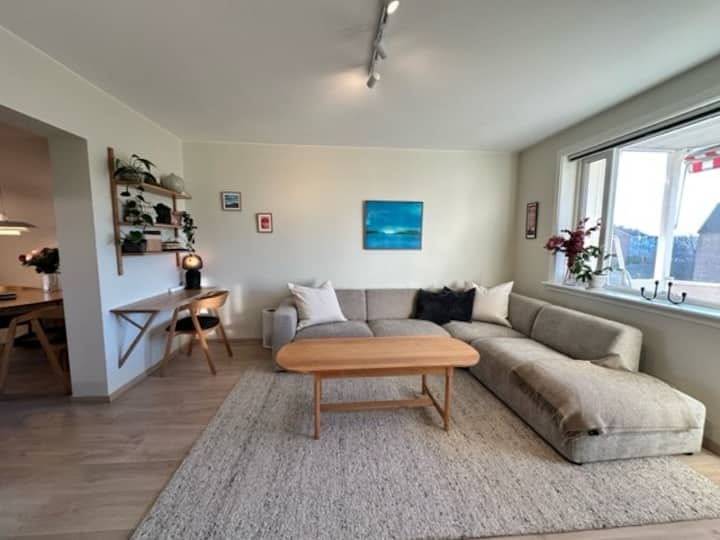 Koselig Leilighet På Hasle/valle - Oslo