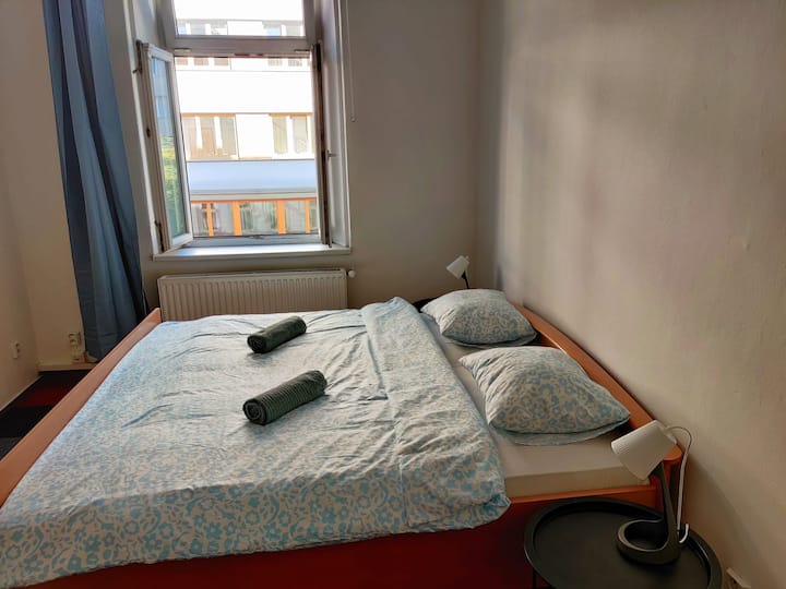 Large Zizkov Room, Walk To Center - Prague