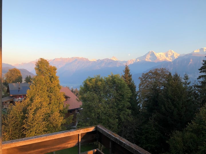 Hoch üBer Interlaken Traumhafter Alpenblick - Beatenberg