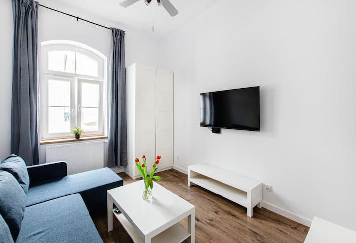 No 10 Old Town Apartment - Wrocław