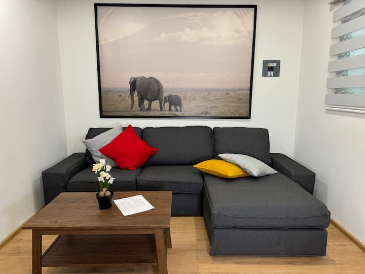 (303) Amazing Modern 2 Bedroom: 303 - Benito Juarez