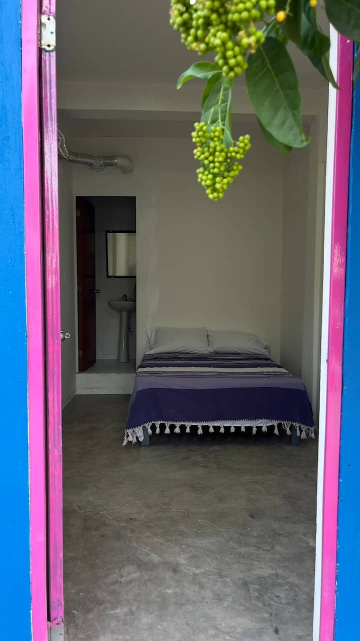 Private Room W/bathroom 1 Block To Marina - Cabo San Lucas