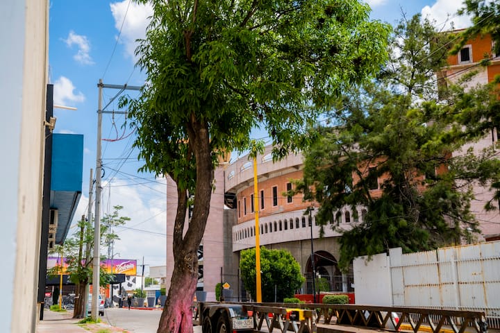 Hotel Monumental 16 - Aguascalientes