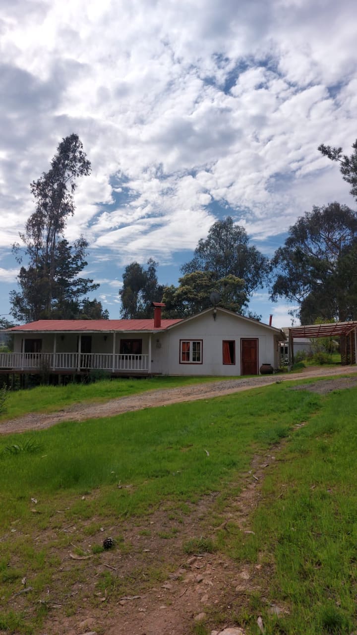 Cabaña Campestre Nº 1 - San Antonio