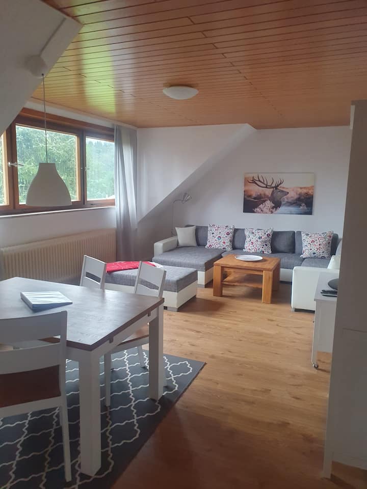 Anjofina *Fewo Kobel * - Altenau