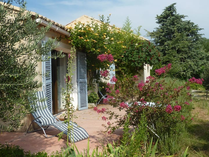 Au Calme Face Au Mont Ventoux - Crillon-le-Brave