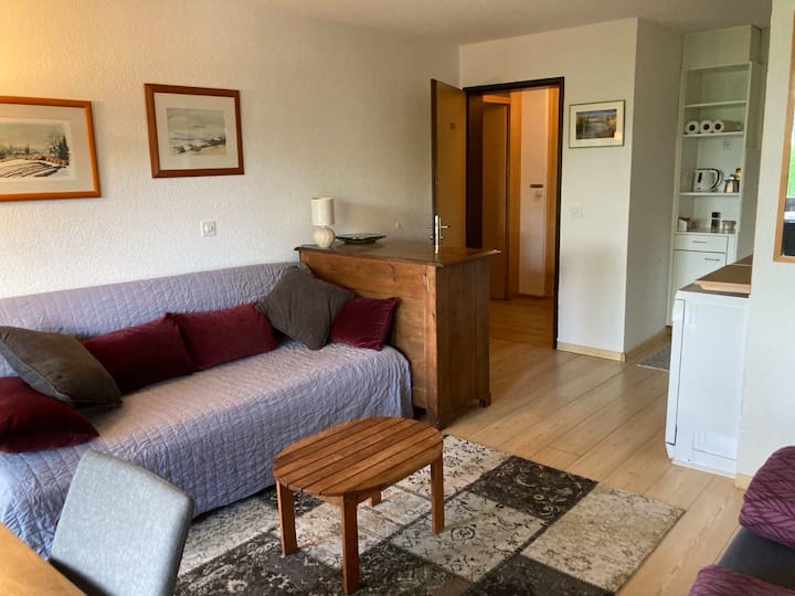 Studio Entr'act à Leysin - Leysin