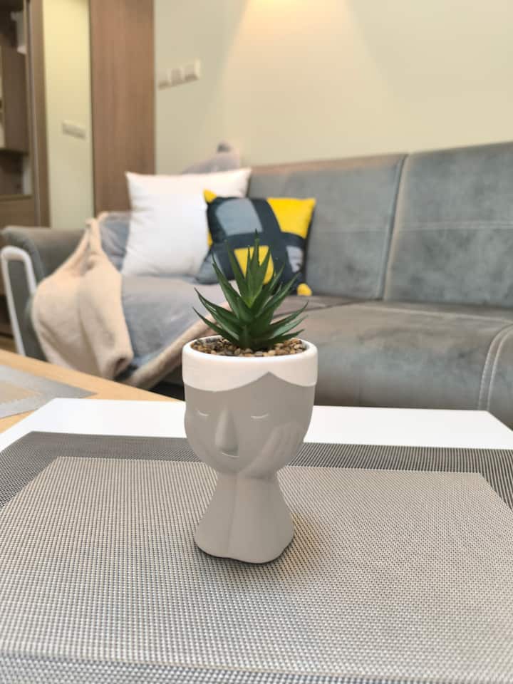 Snow White /Luxury Stay With A Good Bottle Of Wine - Bansko