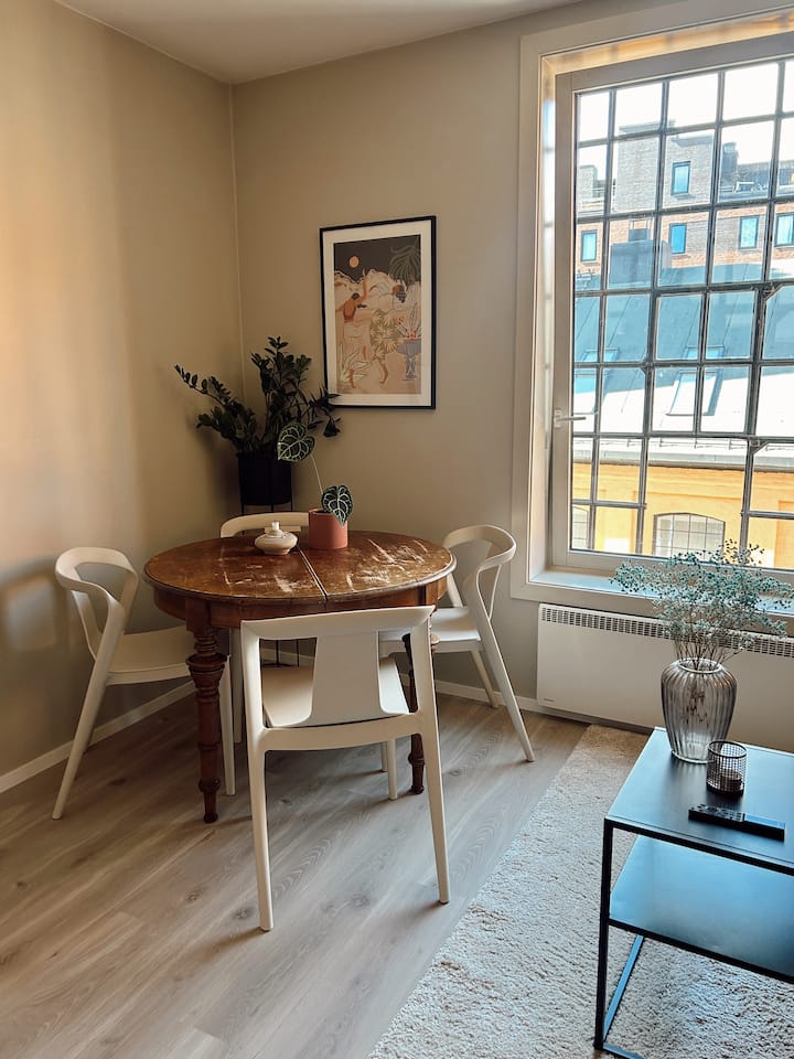 Koselig Og Lun Fabrikkleilighet - Oslo