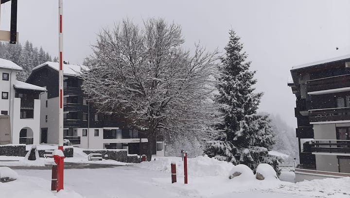 Magnifique Studio Refait à Neuf - Morillon