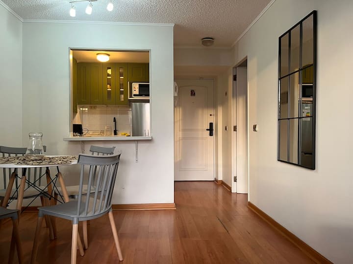 Alojamiento Barrio Bellas Artes - Santiago, Chile