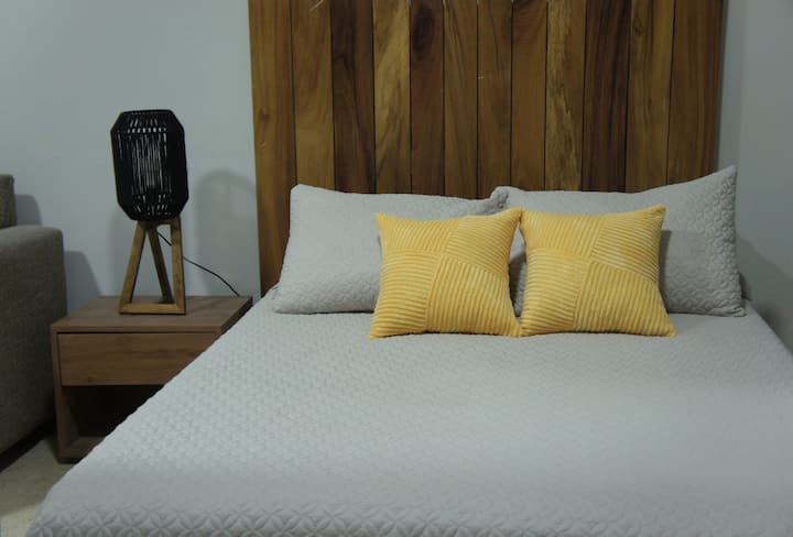 Hermoso Departamento Centro Histórico, Planta Baja - San Luis Potosí