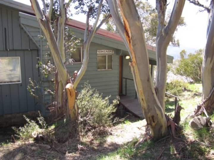 Gonzaga Ski Club - Mount Buller