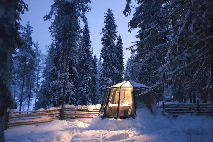 Nature & Aurora Hut - Finland