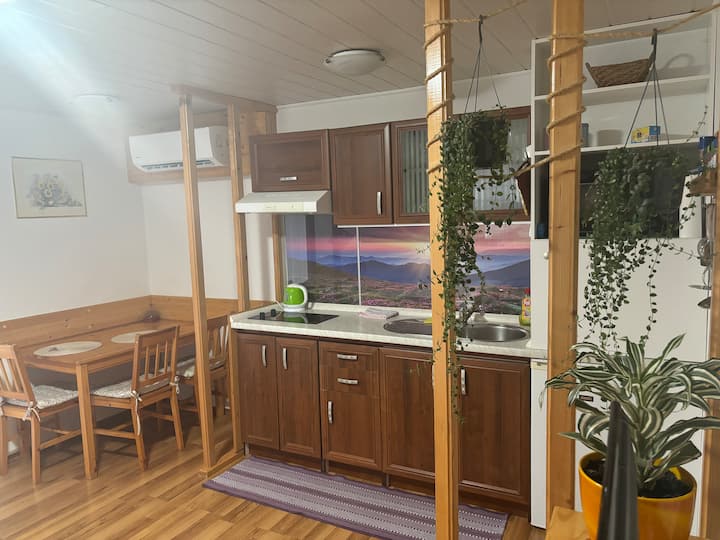 Studio Lipa 2
(Maribor) - Maribor
