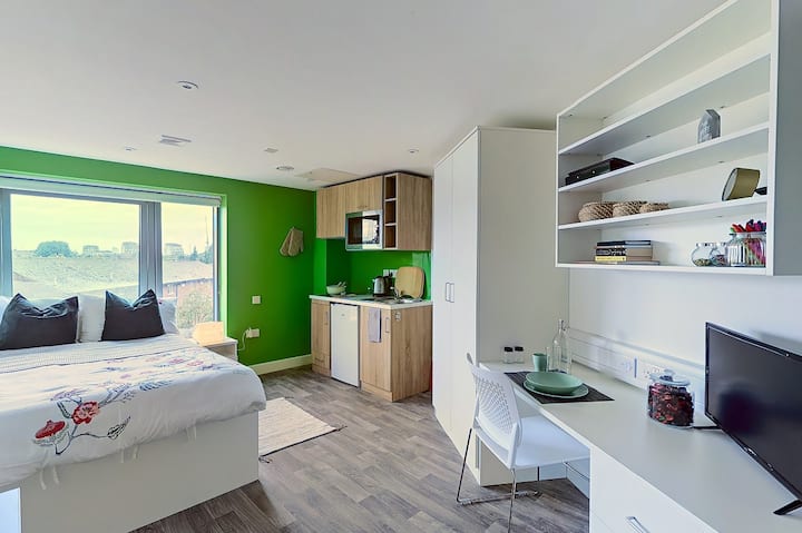 Premium Plus Studio In Greenwich - Stratford
