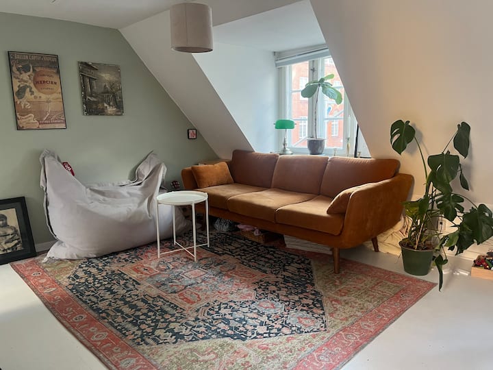 Unique Townhouse Downtown Cph - Copenhague