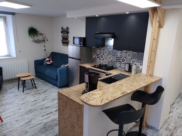 Le Lupicin: T2 Spacieux Et Confortable - Moirans-en-Montagne