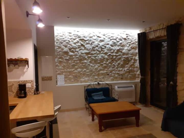 Studio Dans Maison Vigneronne - Montpezat