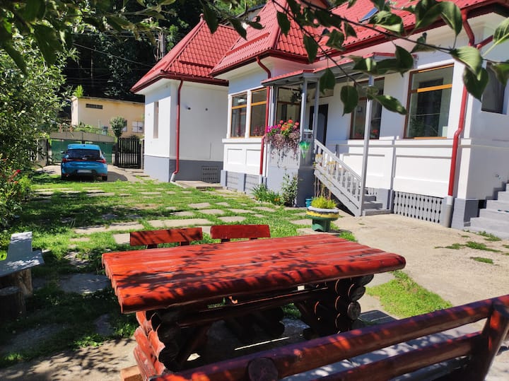 Little Bear Busteni - 2 Bedrooms House - Bușteni