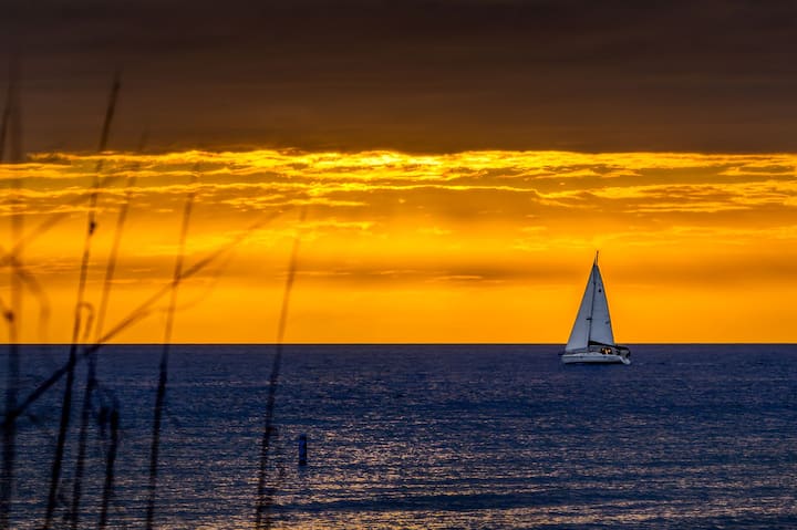 Tropical Beachside Studio - Venice Beach, FL