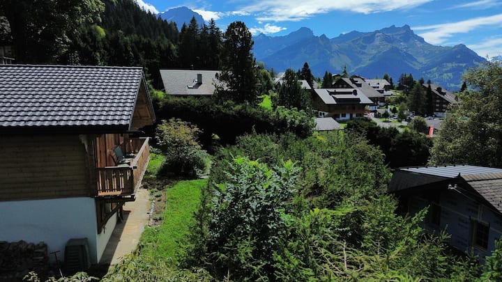 Peace & Comfort - Great Views And Location - Villars-sur-Ollon