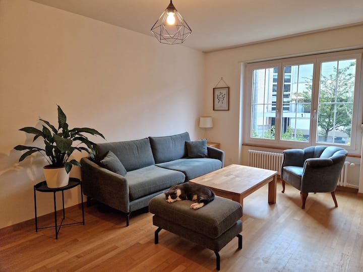 Appartement Cosy Au Cœur De Berne - Berna